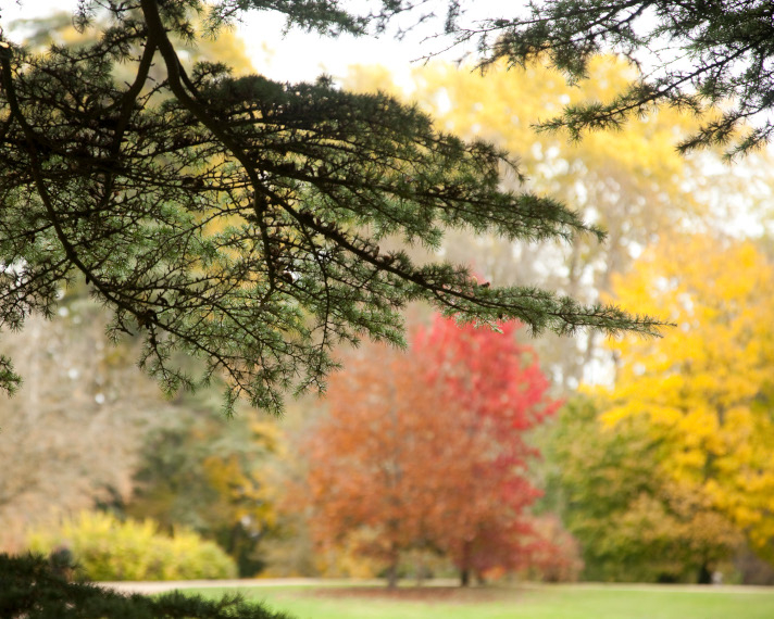 Le parc paysager