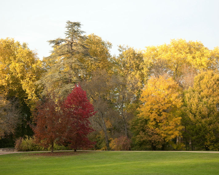 Le parc paysager